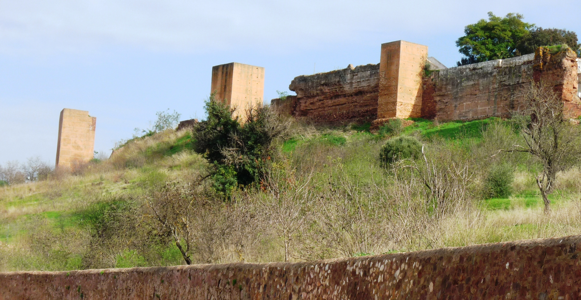 Muralhas da Almedina - Architectural Heritage - Património Cultural ...